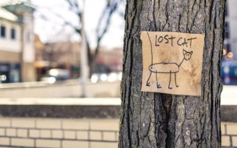 21 Spiritual Meanings of Dreaming of Disappearance – DreamOmen